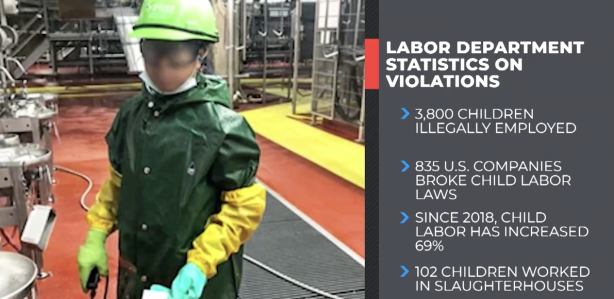 Design For Freedom by Grace Farms